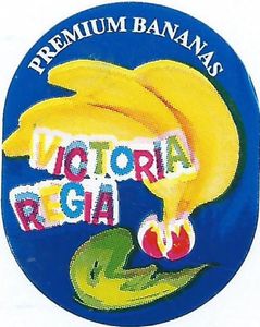 Fruit Sticker: Victoria Regia Premium Bananas (EcuadorCol:EC-FR-00550
