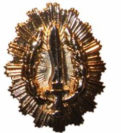 Decoration: Bagde of the GOE (Army) (Spain(Badge) Col:ES-001458