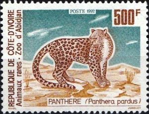 Timbre: Leopard (Panthera pardus) (Côte D'ivoire(Fauna 1992) Mi:CI 1068 ...