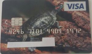 Bank Card: Turtle (ING Bank Śląski SA, PolandCol:PL-VI-0401