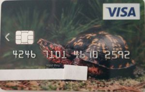 Bank Card: Turtle (ING Bank Śląski SA, PolandCol:PL-VI-0402
