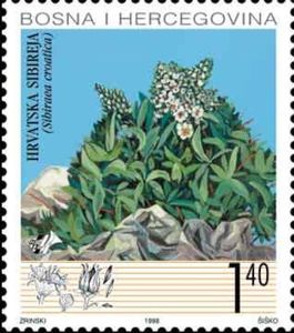 Stamp: Sibiraea croatica (Bosnia and Herzegovina, Croatian Admin.(Flora ...