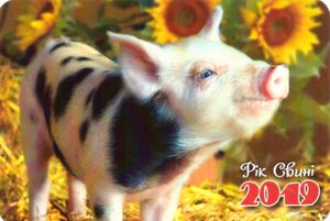 Pocket Calendar: Year of the pig (Ukraine(Year of the Pig) Col:UA-2019 ...