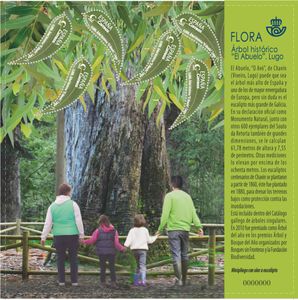 Stamp: Historical Tree of Lugo (Spain(Flora 2018) Mi:ES 5308KB,Yt:ES ...