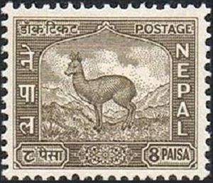 Stamp: Alpine Musk-deer (Moschus chrysogaster) (Nepal(Nepal's admission ...