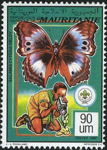 Stamp: Western Blue Beauty (Salamis cytora) (Mauritania(Scouts ...