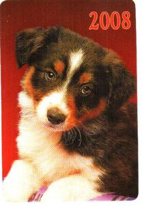 Calendario de Bolsillo: Serbernar (Rusia(Dogs) Col:RUS-2008-Dog-033.06