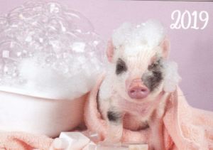 Calendario de Bolsillo: Piglet (Estonia(Animals) Col:EST-2019-Animal-001.05