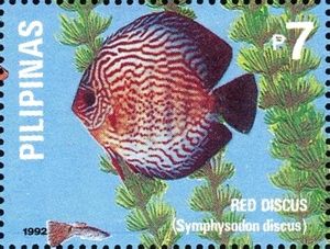 Stamp: Red Discus (Symphysodon discus) (Philippines(Aquarium fishes) Mi ...