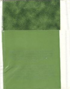 Bolsa de Té: Yeşil Çin Çayi/Green Chinese Tea, glossy (Prenses, Türkiye ...