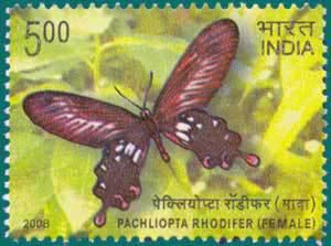 Stamp: Andaman Clubtail (Pachliopta rhodifer) - Female (India) (Endemic ...