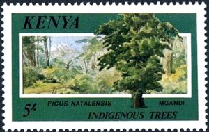 Stamp: Ficus natalensis (Kenya(Indigenous Trees) Mi:KE 354,Sn:KE 362,Yt ...