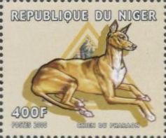 Stamp: Chien du pharaon. (Niger(Dogs of Africa (2000)) Mi:NE 1837,Sn:NE ...