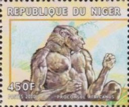 Stamp: Proconsul africanus (Niger(African Animals and their Prehistoric ...