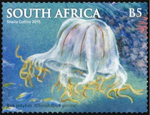 Selo: Box Jellyfish (Chirodropus gorilla) (África do Sul(Fauna Marinha ...