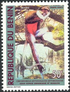 Stamp: Red-bellied Monkey (Cercopithecus erythrogaster) (Benin(Fauna ...