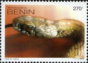 Stamp: European Grass Snake (Natrix natrix) (Benin) (Snakes (2003)) WAD ...