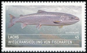 Stamp: Atlantic Salmon (Salmo salar) (Germany, Federal Republic ...