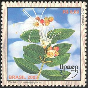 Selo: 2005 America Series - Medicinal plants of the Cerrado - Paca ...