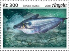 Stamp: African Butter Catfish (Schilbe mystus) (Angola(Fish (2018)) Mi ...