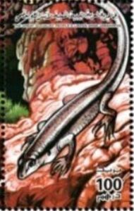 Stamp: Lizard (Libya(Reptiles) Mi:LY 2422,Sn:LY 1568p,Sg:LY 2584