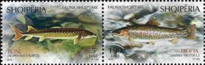 Stamp: Fauna : Albanian Fish Species (Albania) (Fauna : Albanian Fish ...