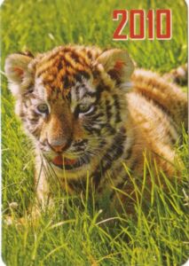 Calendario de Bolsillo: Tiger (Rusia(Tigers) Col:RUS-2010-Tiger-008.09