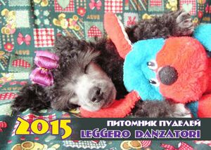 Calendario de Bolsillo: Pudel (Rusia(Breeders of Dogs) Col:RUS-2015-Dog ...