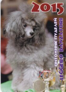 Calendario de Bolsillo: Pudel (Rusia(Breeders of Dogs) Col:RUS-2015-Dog ...