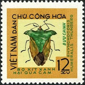 Stamp: Citrus Green Bug (Rhynchocoris humeralis) (Vietnam(True bugs ...
