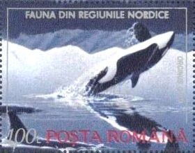Stamp: Killer Whale (Orcinus orca) (Romania) (Fauna of the Northern ...