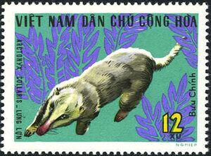 Stamp: Hog Badger (Arctonyx collaris) (Vietnam(Wild Animals) Mi:VN 476 ...