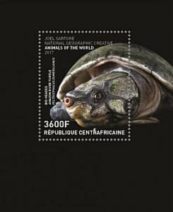 Stamp: Big-headed Amazon River Turtle (Peltocephalus dumerilianus ...