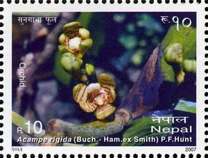 Stamp: Acampe rigida (Nepal(Flora (Orchids)) Mi:NP 891,Yt:NP 859,Sg:NP ...