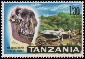 Stamp: Skull of Zinjanthropus - Olduvai Gorge (Tanzania(Country Motifs ...