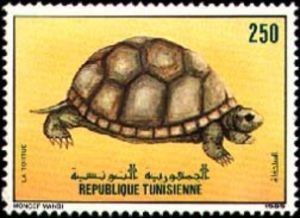 Stamp: Tunisian Tortoise (Testudo graeca nabeulensis) (Tunisia(Tunisian ...