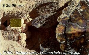 Phonecard: Tortuga carey (Eretmochelys imbricata) (Etecsa, Cuba(Chip ...