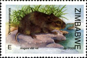 Stamp: Angoni Vlei Rat (Otomys angoniensis) (Zimbabwe) (Fauna (Mammals ...