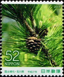 Stamp: Japanese Black Pine (Pinus thunbergii) (Japan(Prefecture Stamps ...