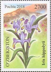 Stamp: Iris hippolyti (Uzbekistan(Flora of Uzbekistan (2019)) Mi:UZ ...