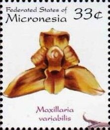 Stamp: Maxillaria variabilis (Micronesia, Federated States of(Orchids ...