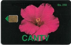 Phonecard: Cayena - MARKETING SAMPLE ONLY (Test, Proof, Sample & Demo ...