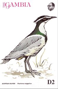 Stamp: Egyptian Plover (Pluvianus aegyptius) (Gambia(Birds of Africa ...