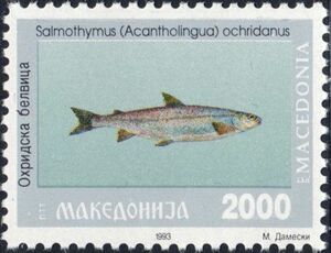 Stamp: Ohrid lake trout (Salmo ohridanus) (North Macedonia(Fish (1993 ...