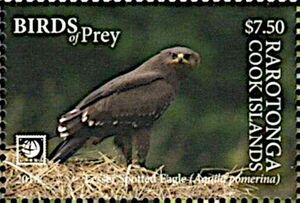Stamp: Lesser Spotted Eagle (Aquila pomerina) (Cook Islands, Rarotonga ...