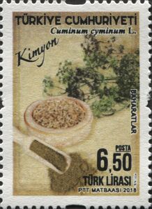 Stamp: Cumin (Cuminum cyminum L.) (Türkiye (Turkey)(Spices) Mi:TR 4425 ...
