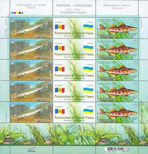 Stamp: Russian Sturgeon (Acipenser gueldenstaedtii), Common Zingel ...