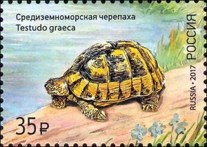 Stamp: Common Tortoise (Testudo graeca) (Russia(Fauna of Russia ...