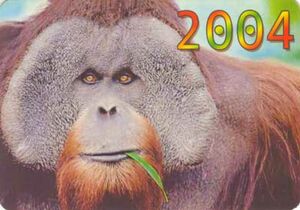 Calendario de Bolsillo: Year of the Monkey (Rusia(Year of Monkey) Col ...