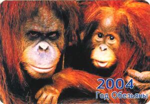 Calendario de Bolsillo: Year of the Monkey (Rusia(Year of Monkey) Col ...